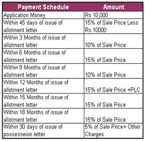 2009 | Investment Guru